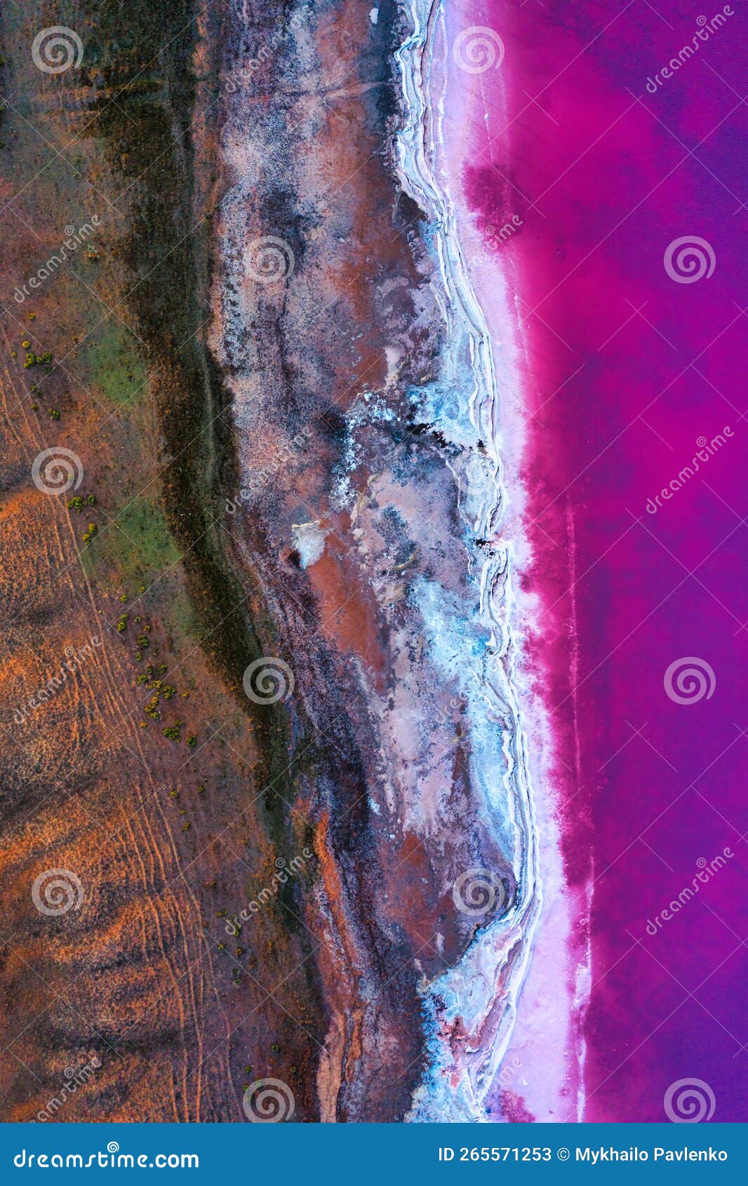Top View of the Salt-covered Shore of Pink Lake. Stock Image - Image of ...