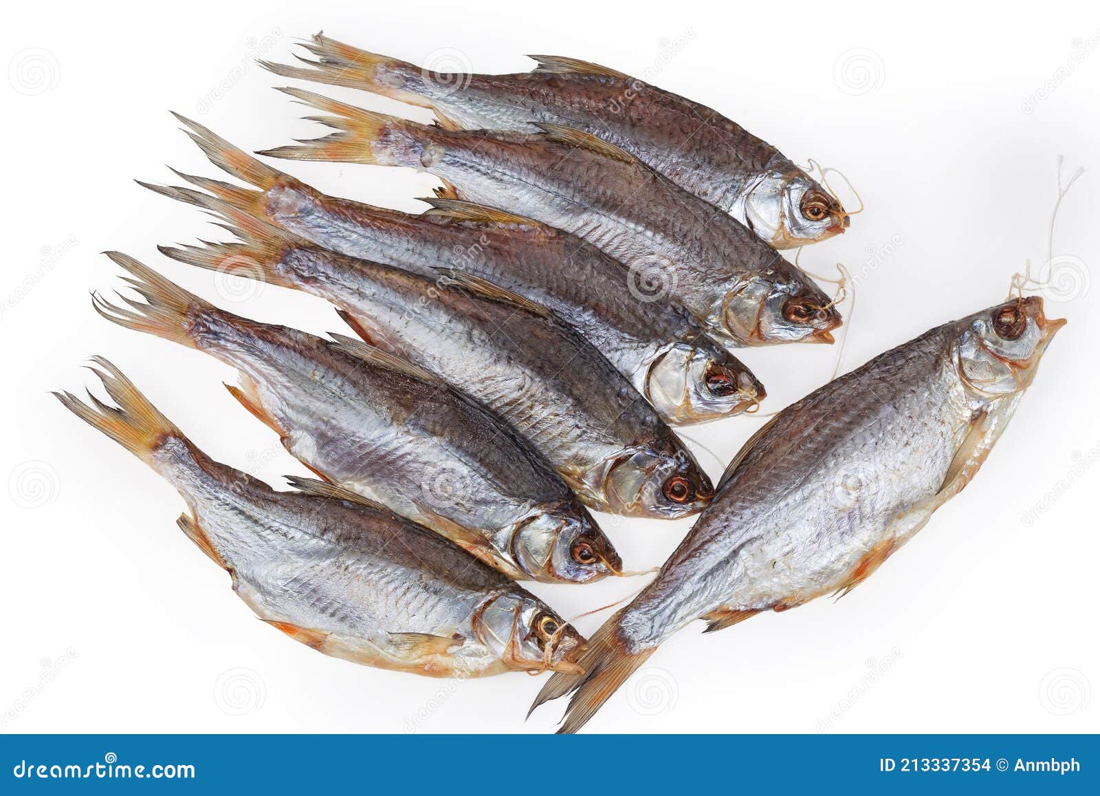 Top View of Salted and Dried Roach on White Background Stock Photo ...