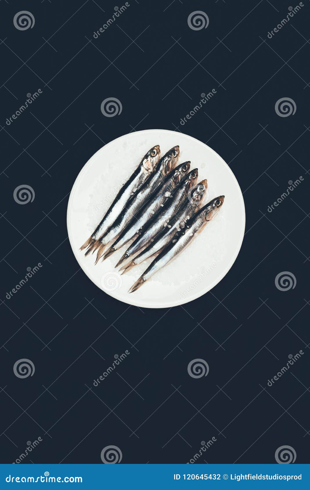 Top View of Salted Pile of Fish in Plate Stock Photo - Image of space ...