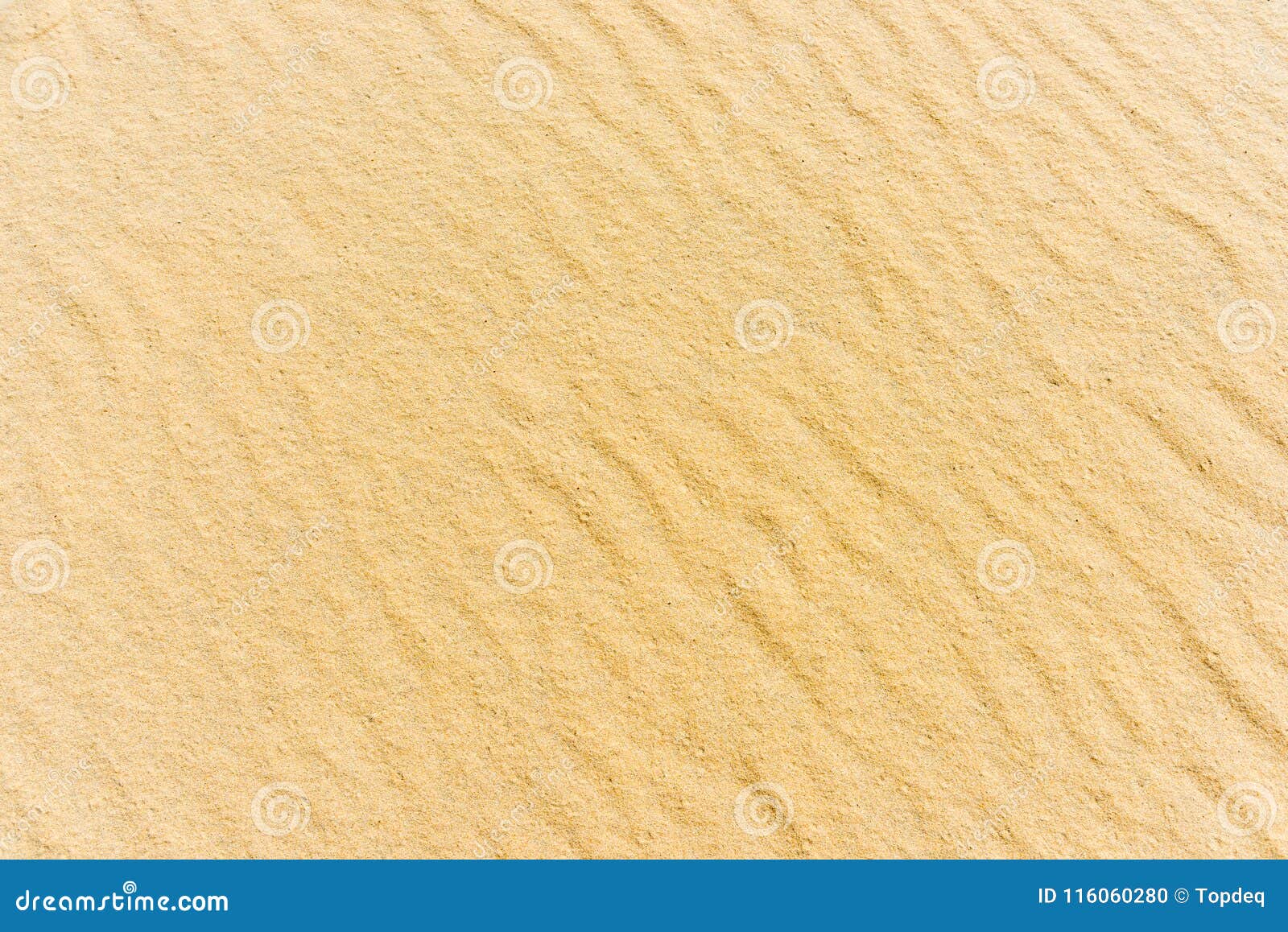 Top View of a Sand Sea Bottom Stock Photo - Image of bottom, beautiful ...