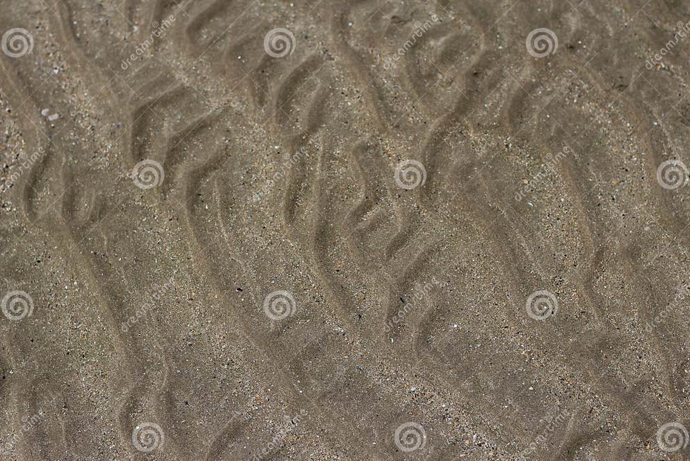 Top View of a Sandy Texture with a Pattern Stock Illustration ...