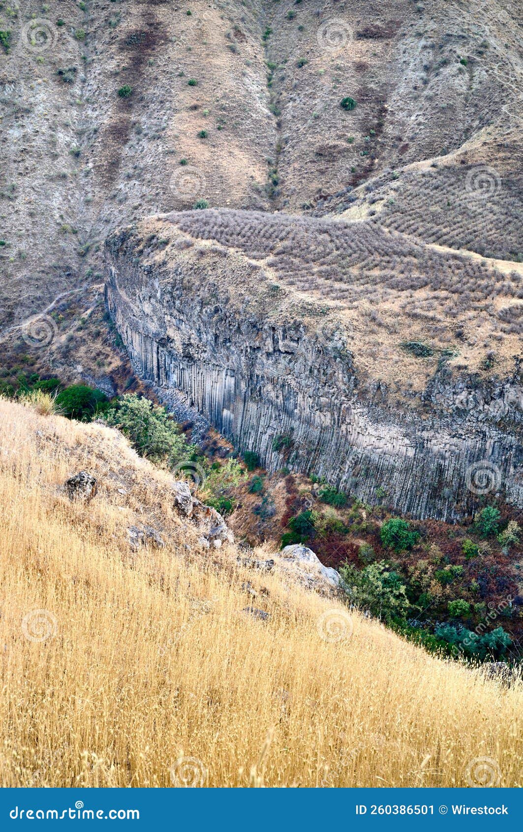 Top View of a Scenic Canyon with Basalt Stone Stock Image - Image of ...