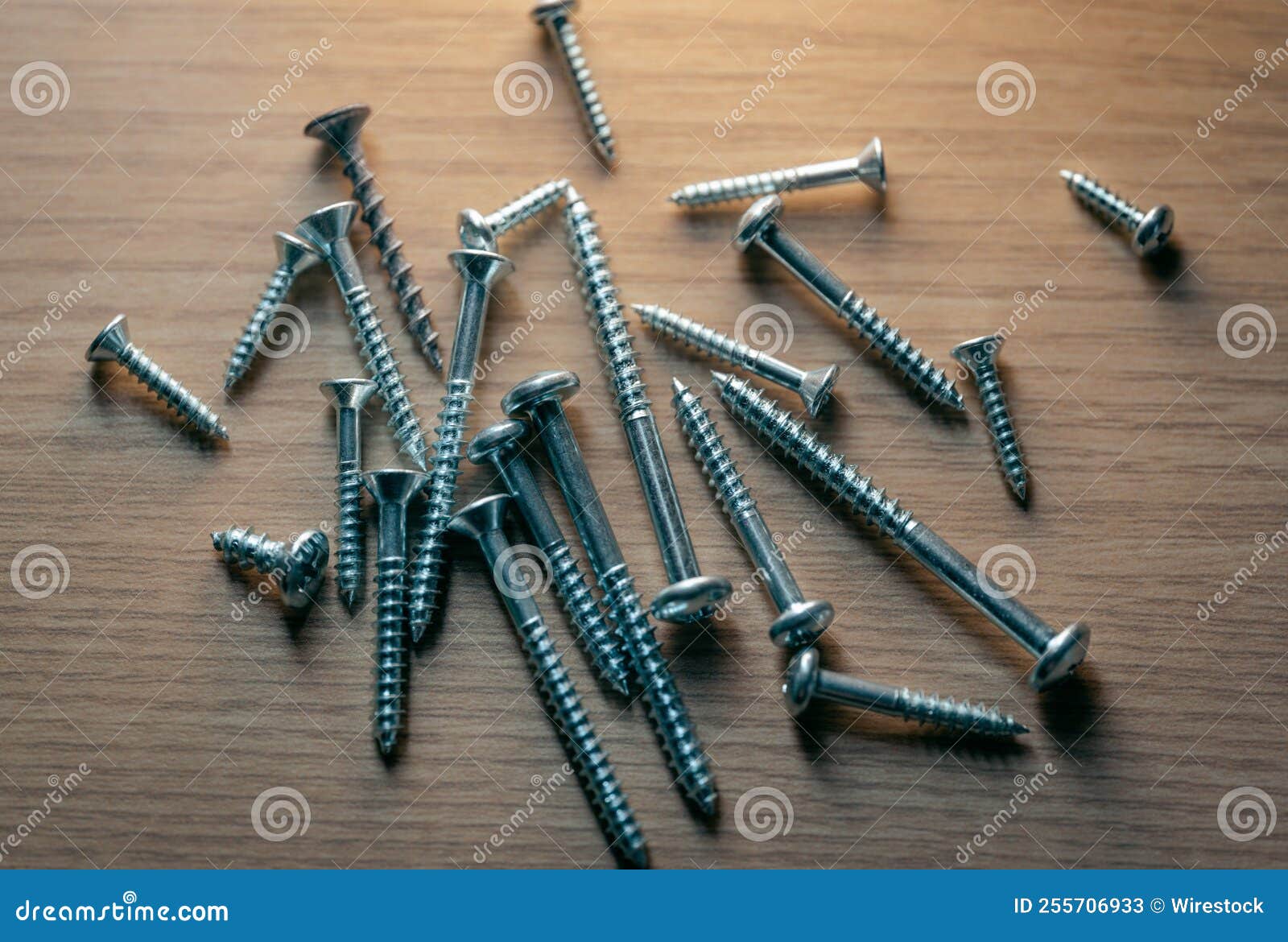 Top View of Screws on a Wooden Surface Stock Image - Image of people ...