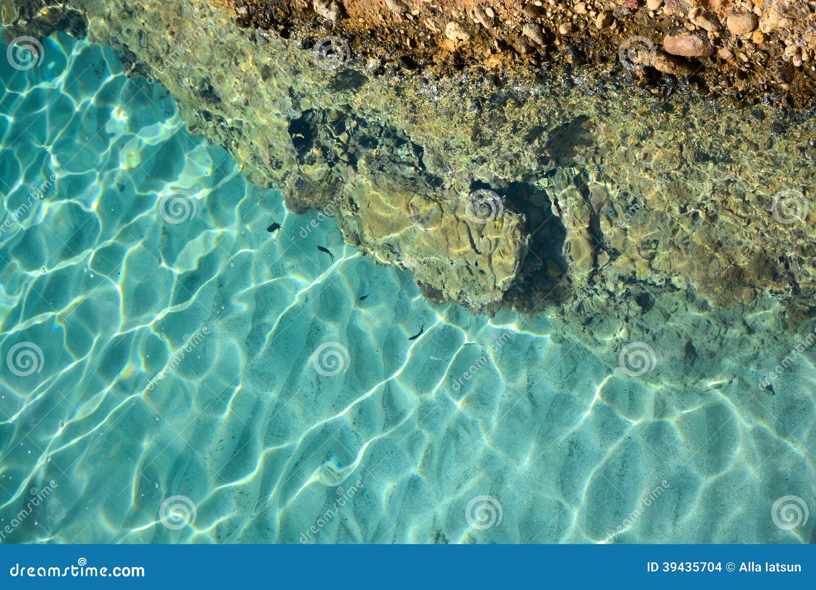 Top View of the Sea and Fish Stock Photo - Image of clear, beauty: 39435704