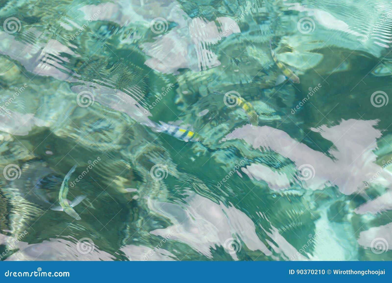 Top View of the Sea and Fish. Stock Photo - Image of tropical, thailand ...