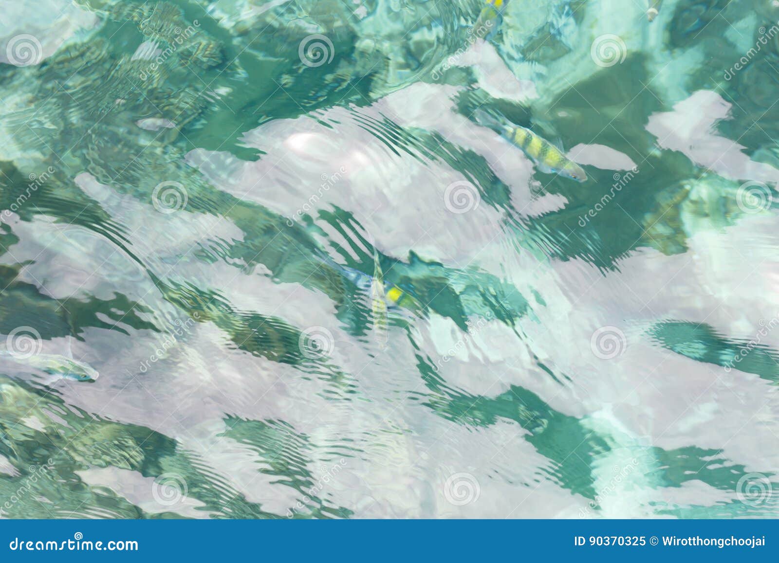 Top View of the Sea and Fish. Stock Image - Image of sunny, sand: 90370325