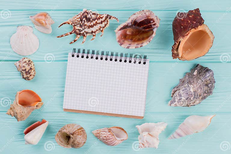 Top View of Set of Different Sea Shells and Notepad in the Centre of ...