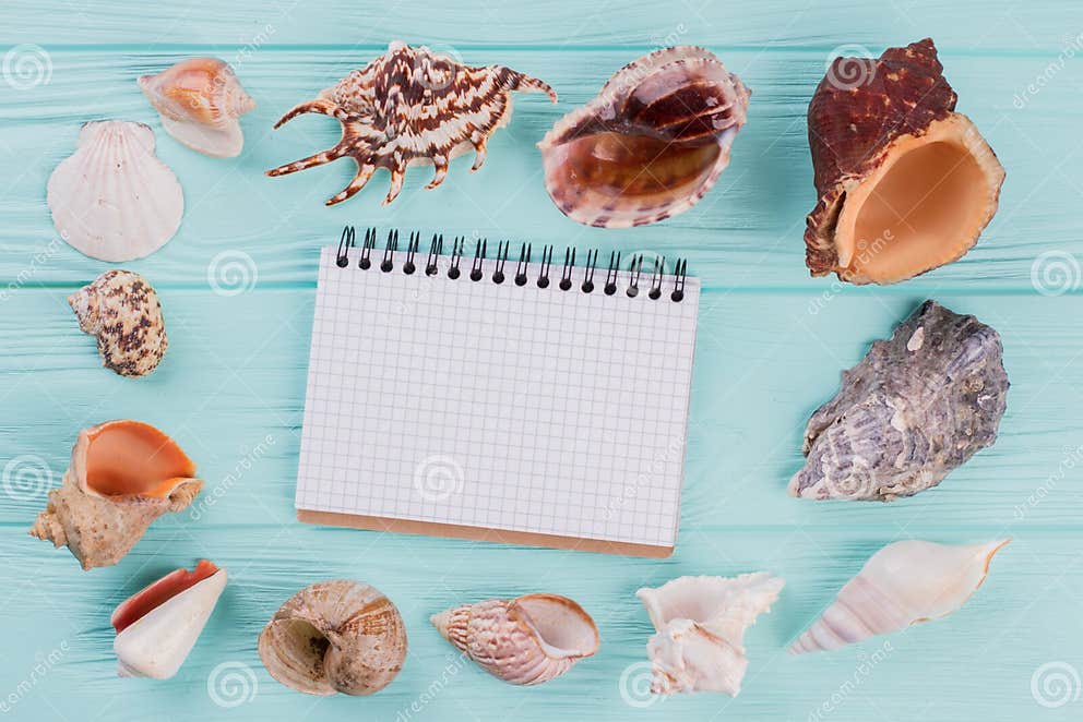 Top View of Set of Different Sea Shells and Notepad in the Centre of ...