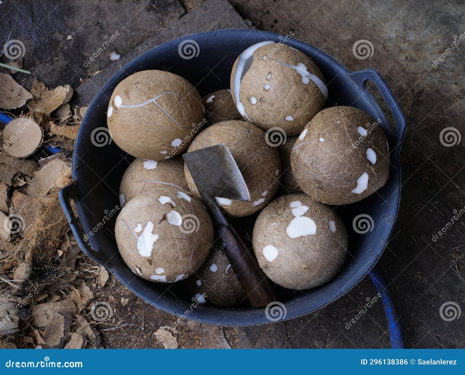 Top View of Several Coconuts Stock Photo - Image of object, closeup ...