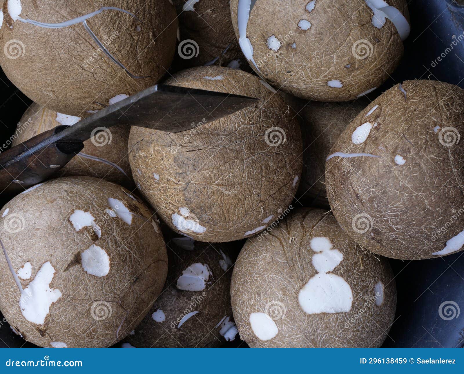 Top View of Several Coconuts Stock Image - Image of exotic, piece ...