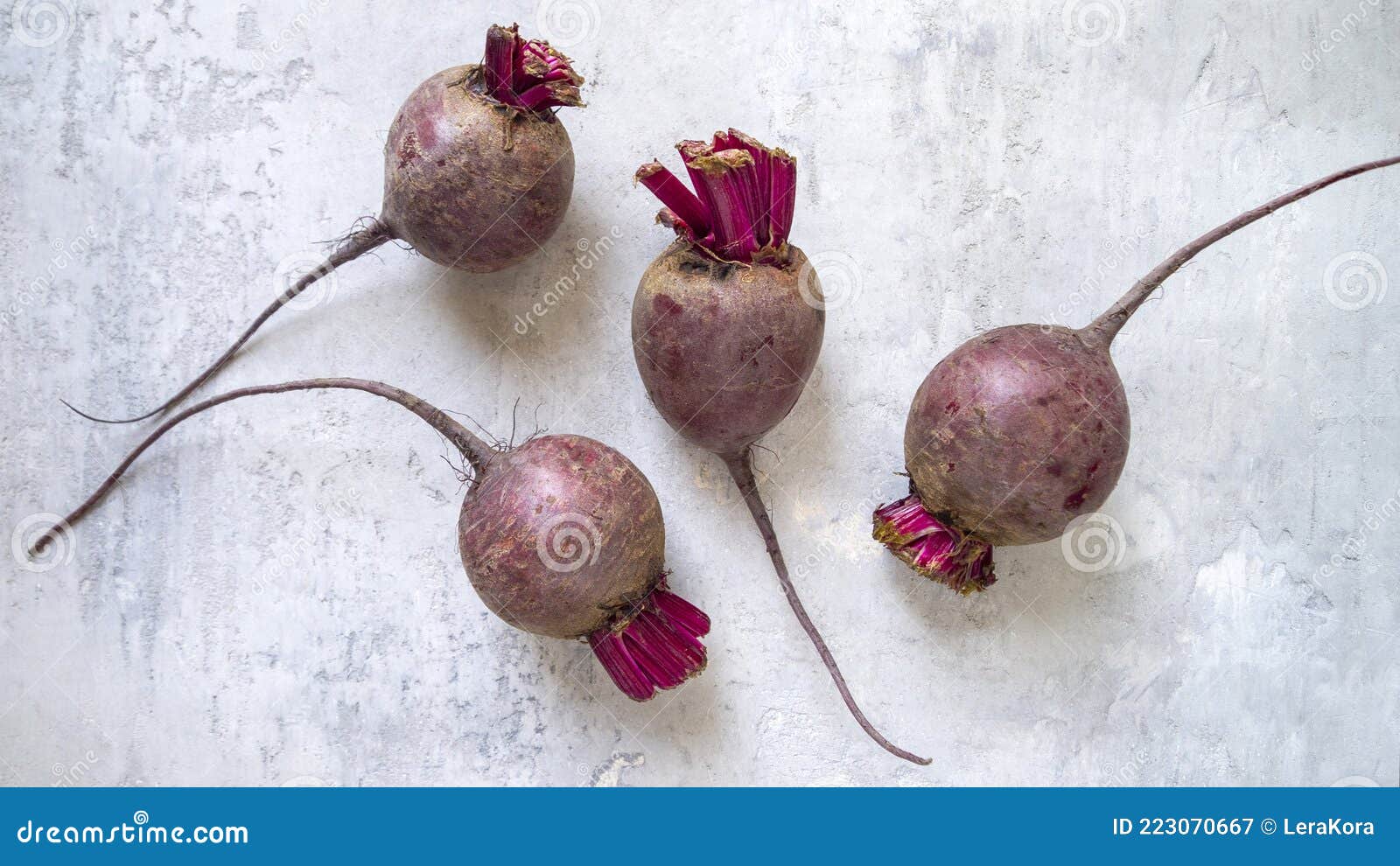 Top View of Several Young Fresh Roots of Beet Stock Image - Image of ...