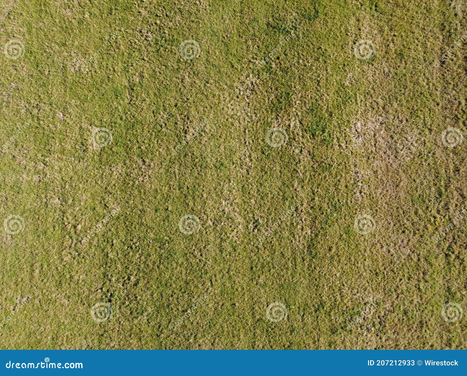 Top view shot of lawn stock image. Image of gardening - 207212933
