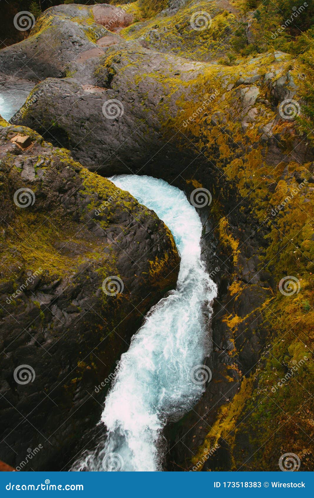 Top View Shot of a Winding Gorge with Mossy Walls Stock Image - Image ...