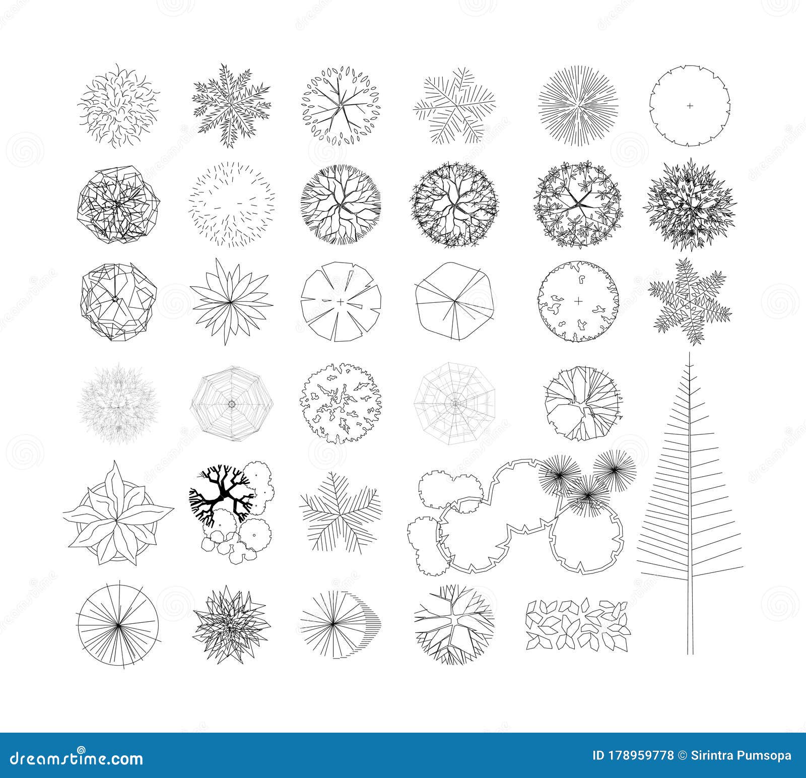 Top View And Side View Set Of Graphics Trees Elements Outline Symbol For Architecture And