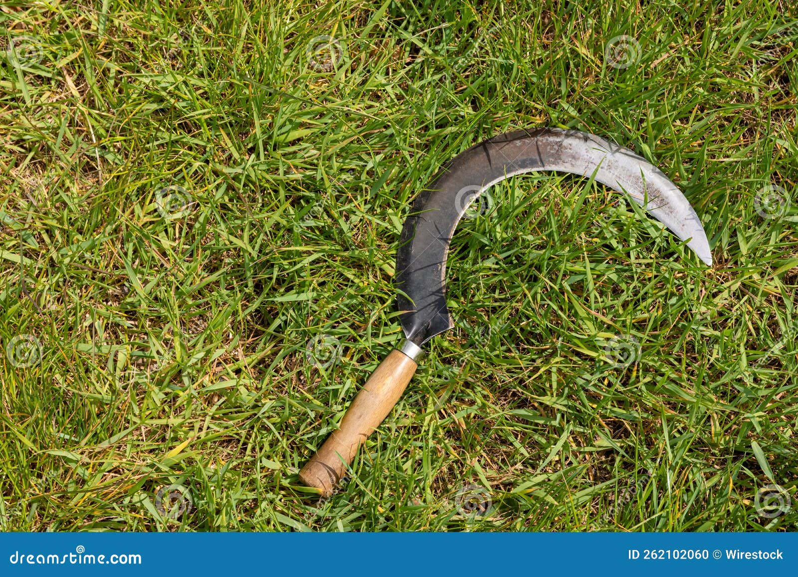 Top View of a Silver Sickle Tool on the Grass Stock Photo - Image of ...