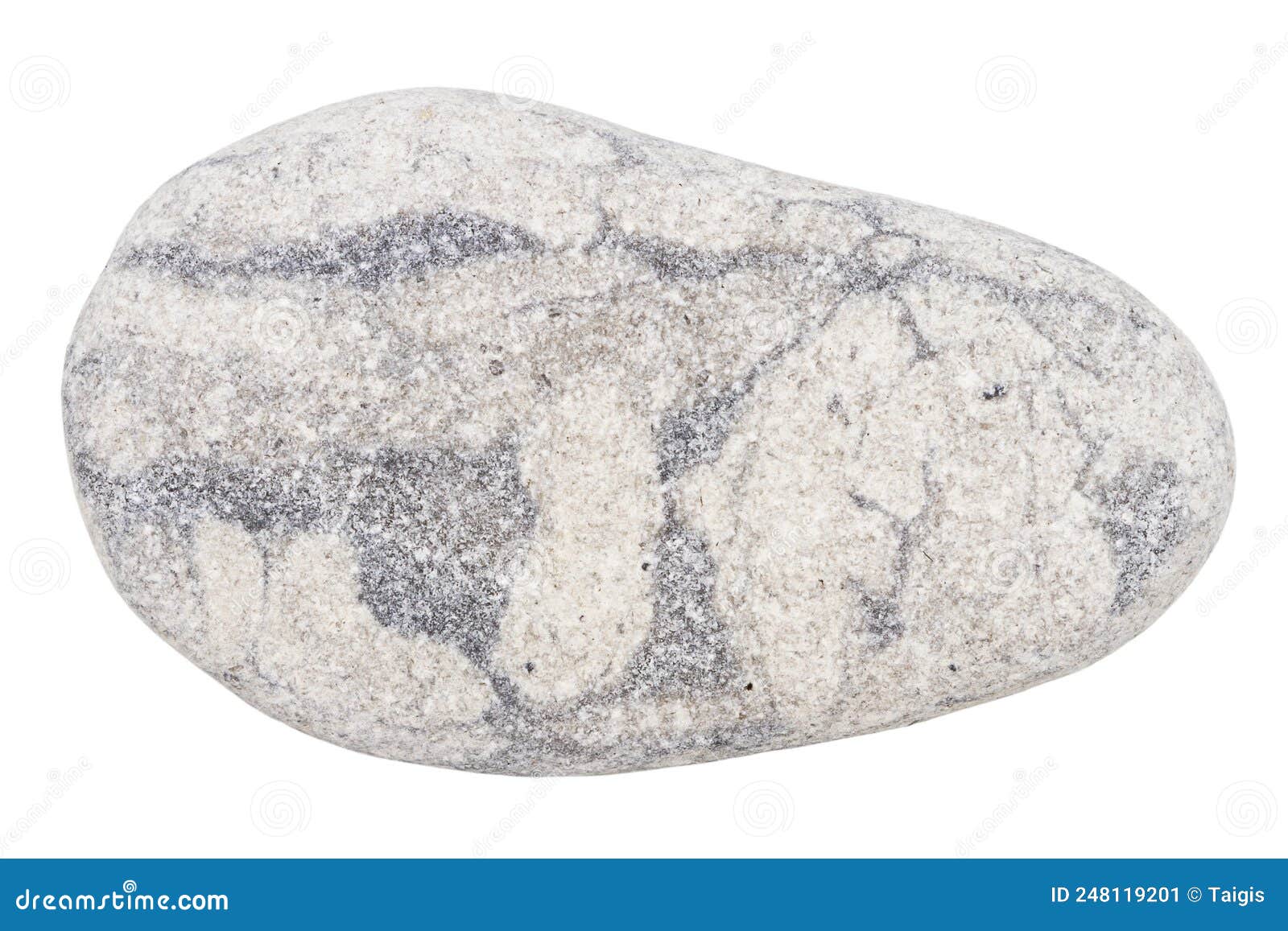 Top View of Single Gray Pebble Stock Image - Image of rock, oval: 248119201