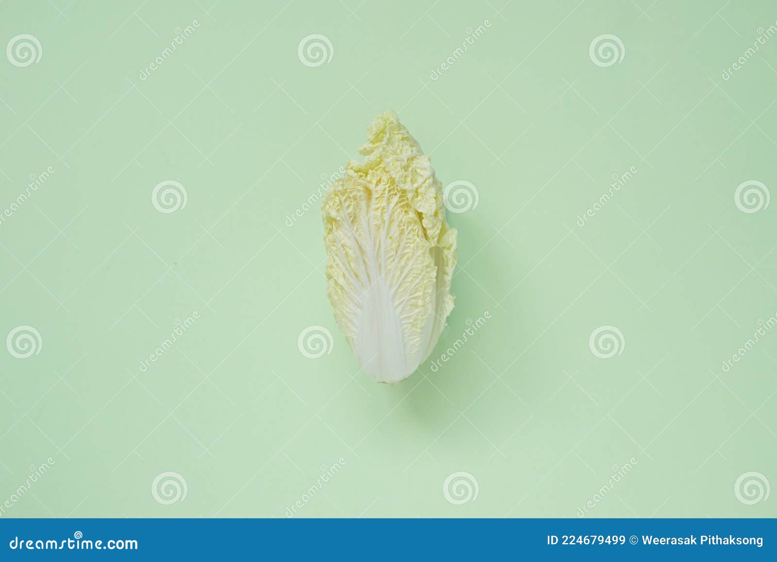 Top View of Single Mini Napa Cabbage on Light Green Background Stock ...