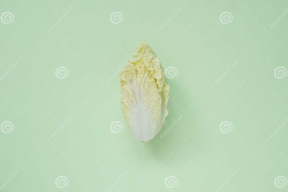 Top View of Single Mini Napa Cabbage on Light Green Background Stock ...