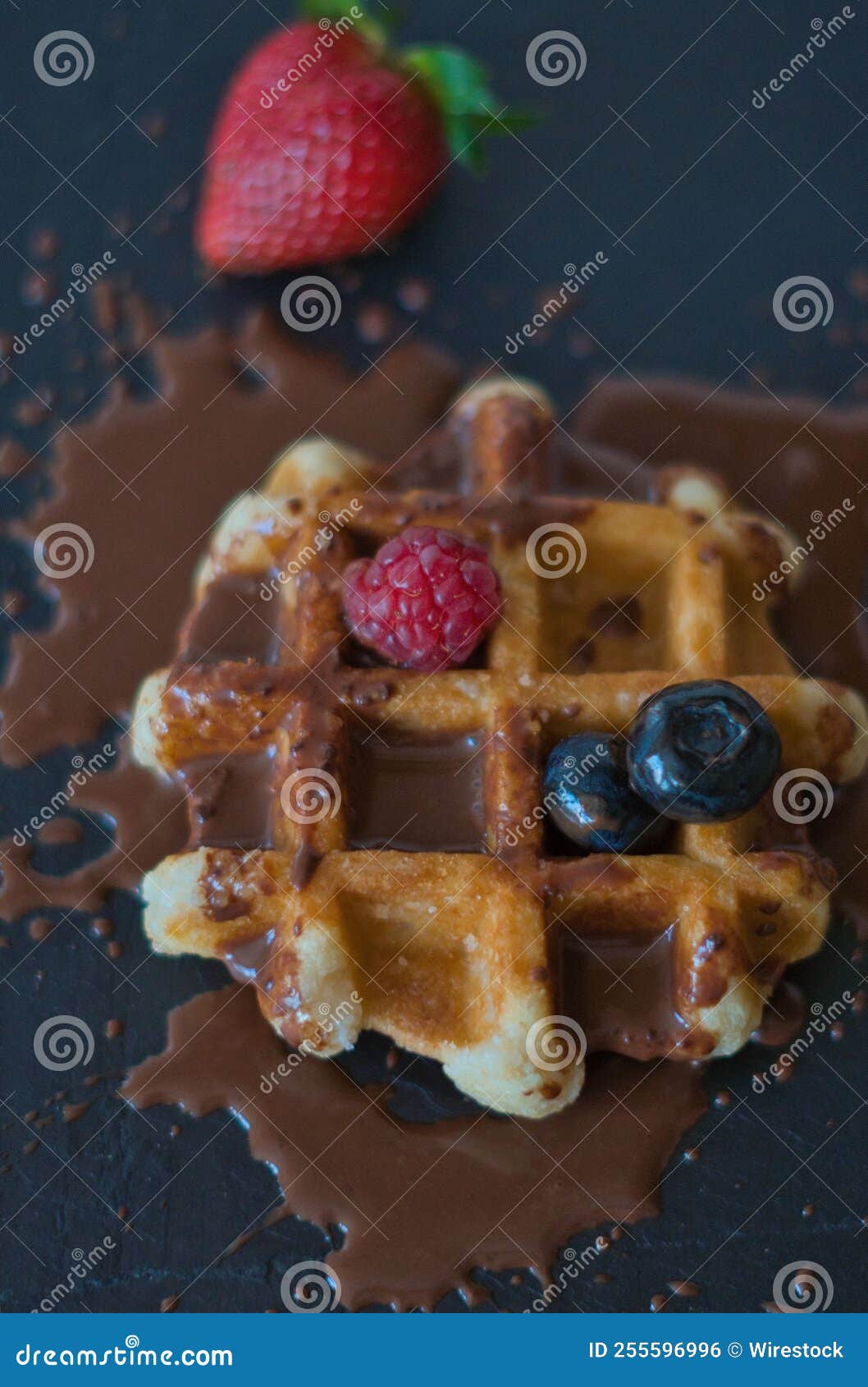 Top View of a Single Waffle with Chocolate and Berries Isolated on the ...