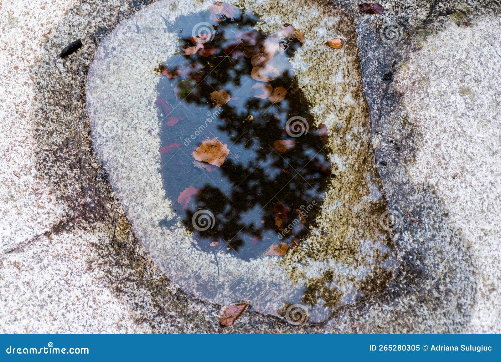 Top view of a small puddle stock image. Image of background - 265280305
