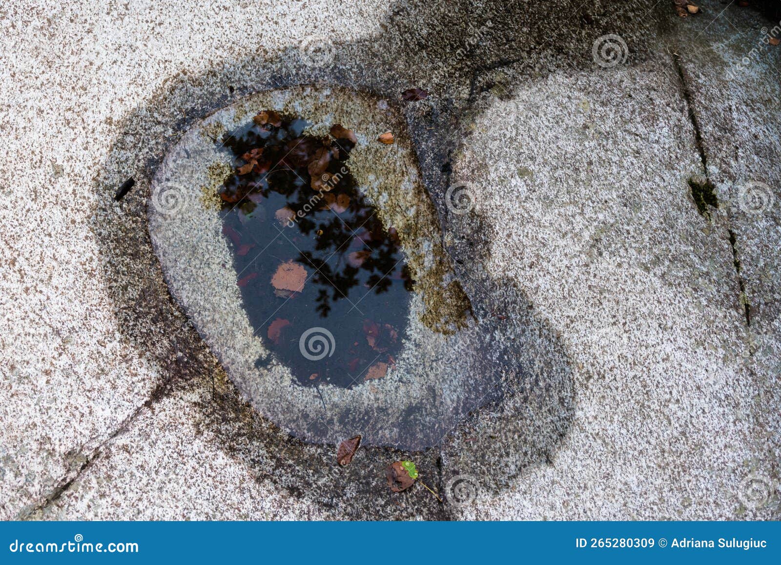 Top view of a small puddle stock image. Image of orange - 265280309