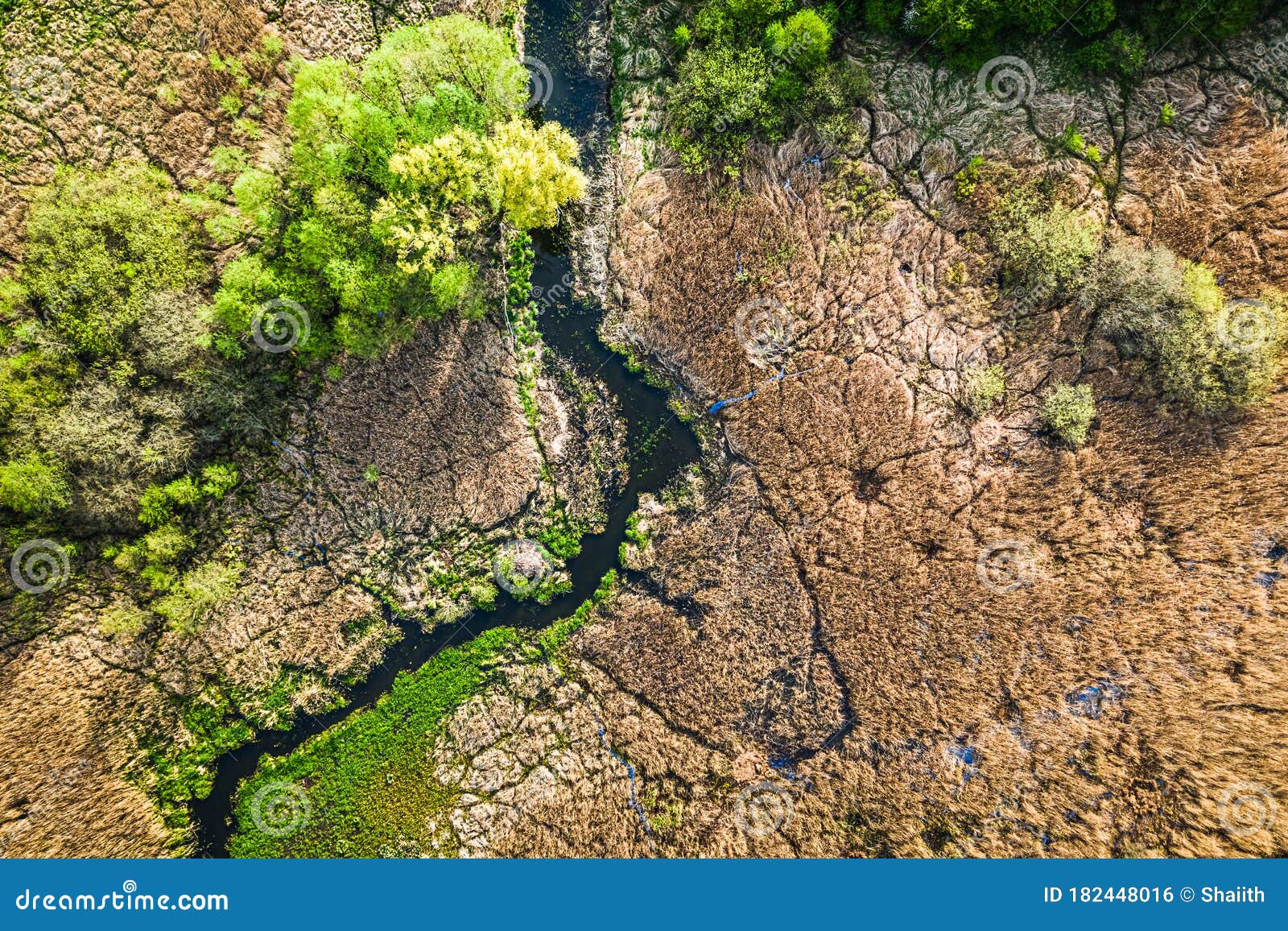 Top View of Small River and Brown Swamps, Poland Stock Photo - Image of ...
