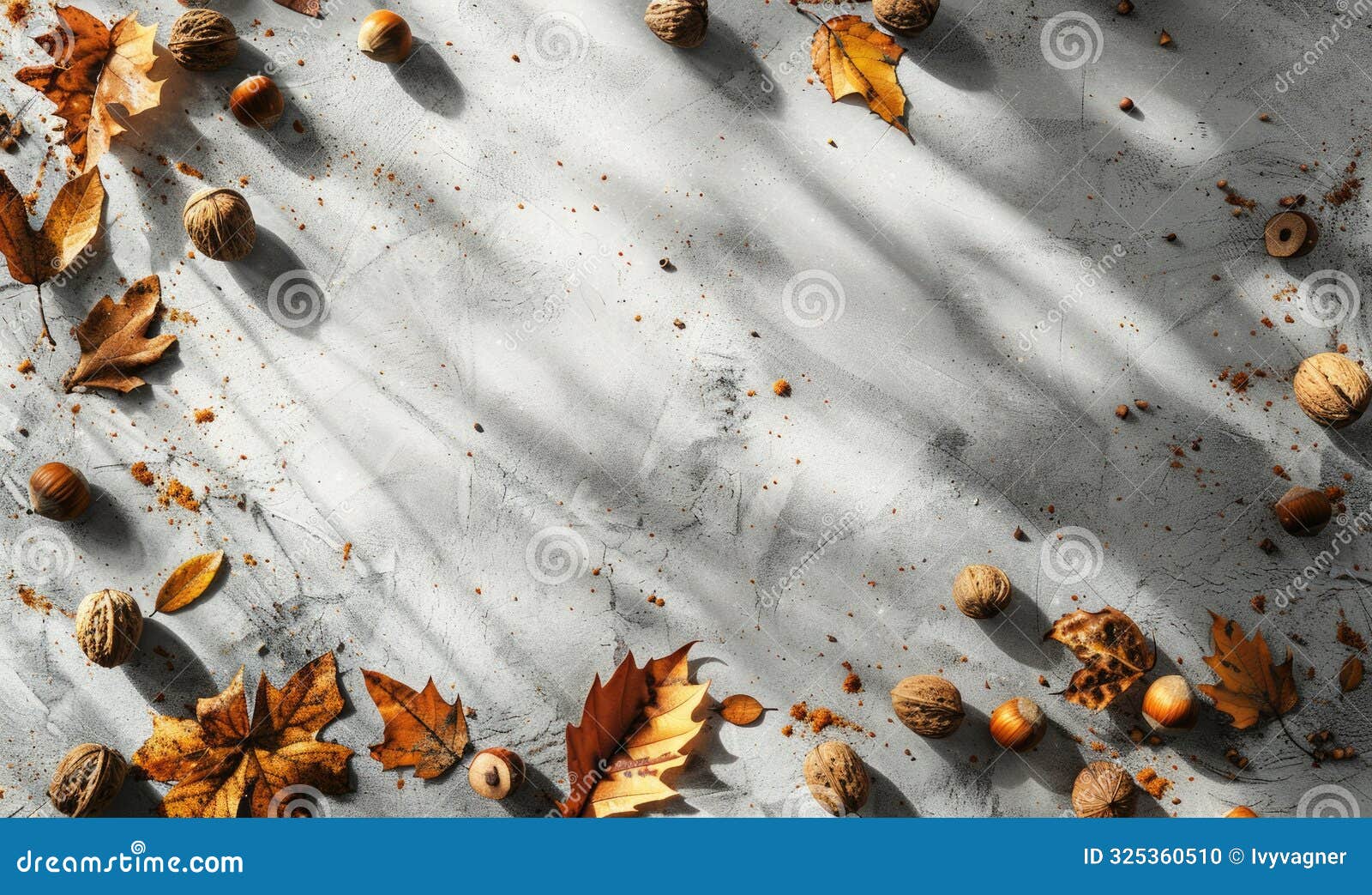 Top View of a Smooth Light Grey Stone Countertop, Frame of Autumn ...