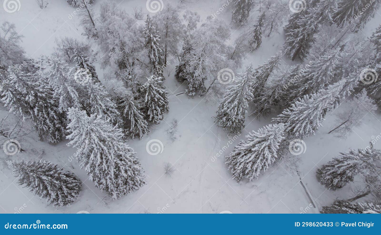 Top View of the Snow-covered Forest in the Mountains Stock Image ...