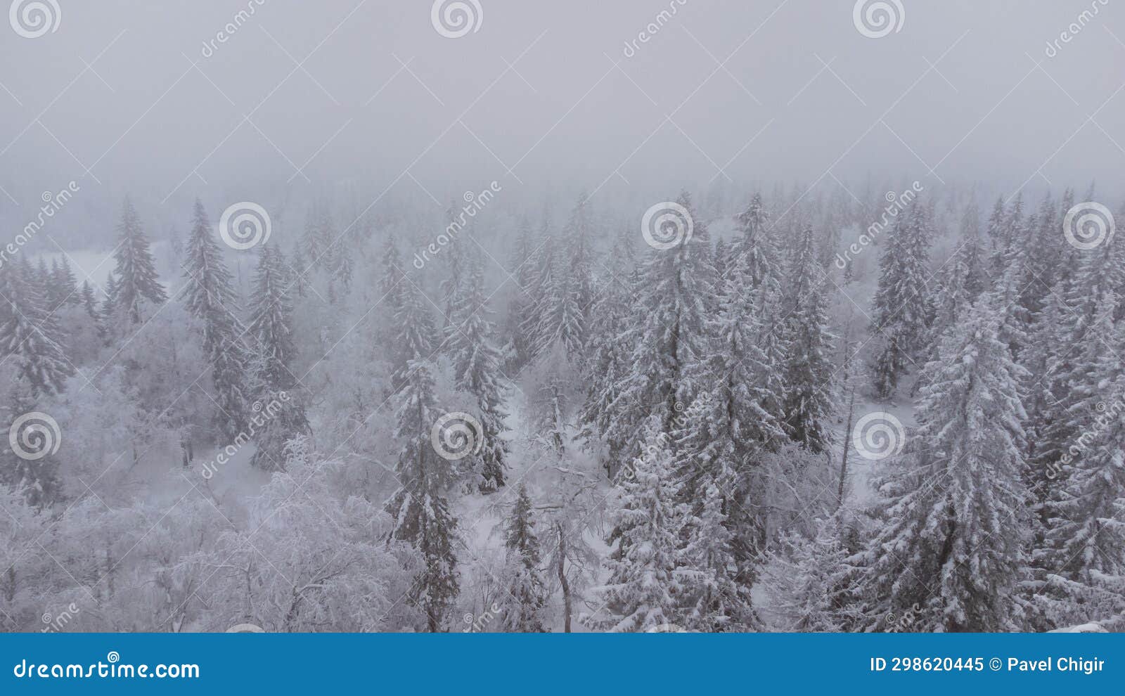 Top View of the Snow-covered Forest in the Mountains Stock Image ...