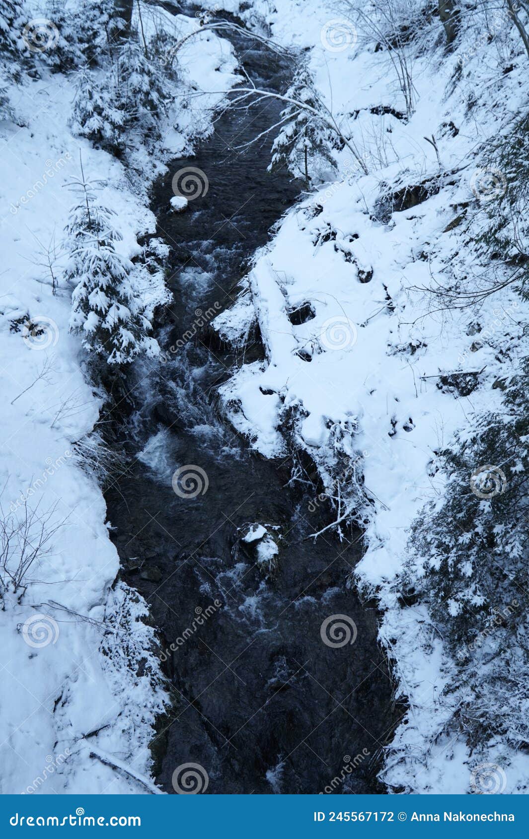 Top View of a Snow-covered Stream in the Carpathians. Stock Photo ...