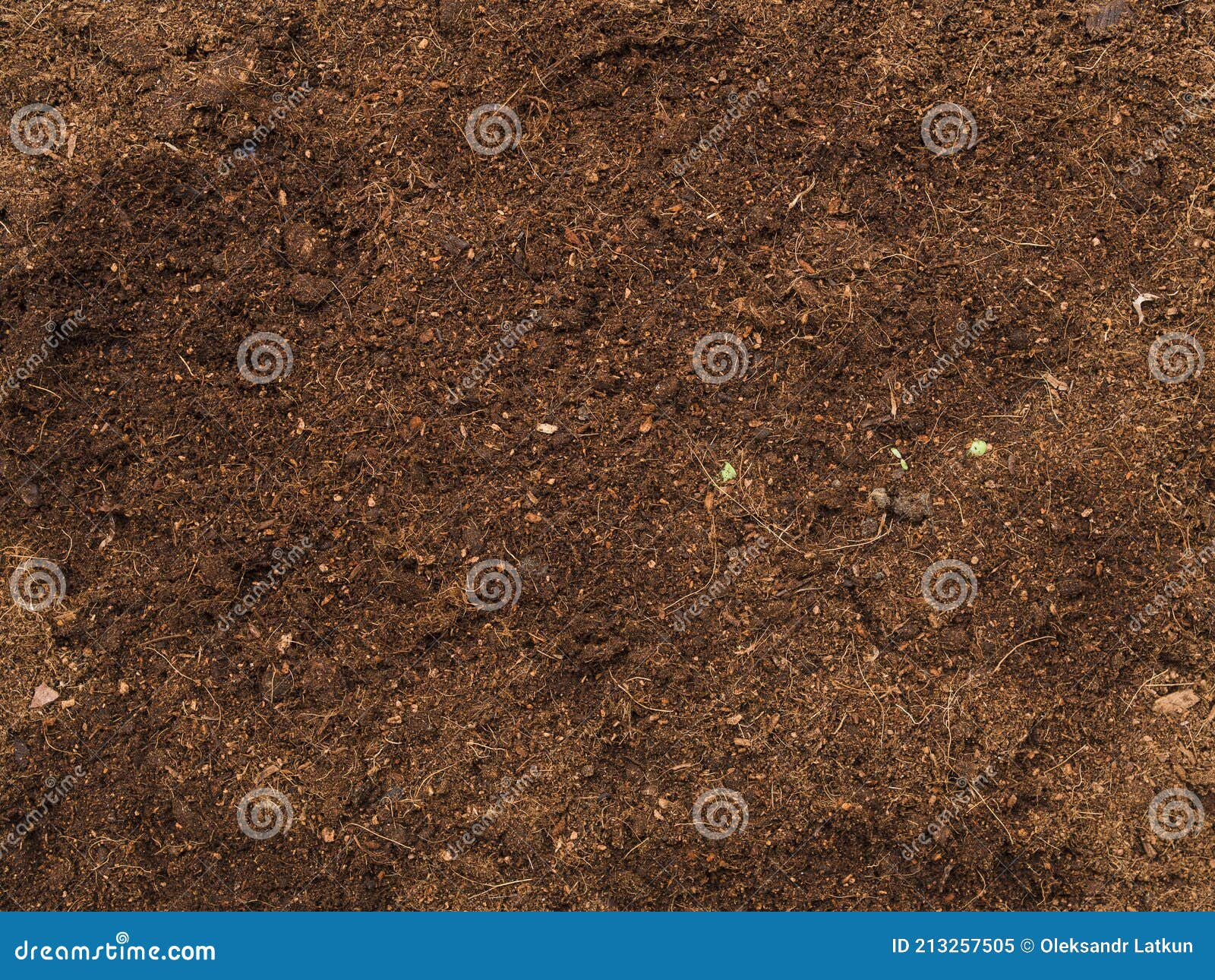 Top View Soil. High Quality and Resolution Beautiful Photo Concept ...