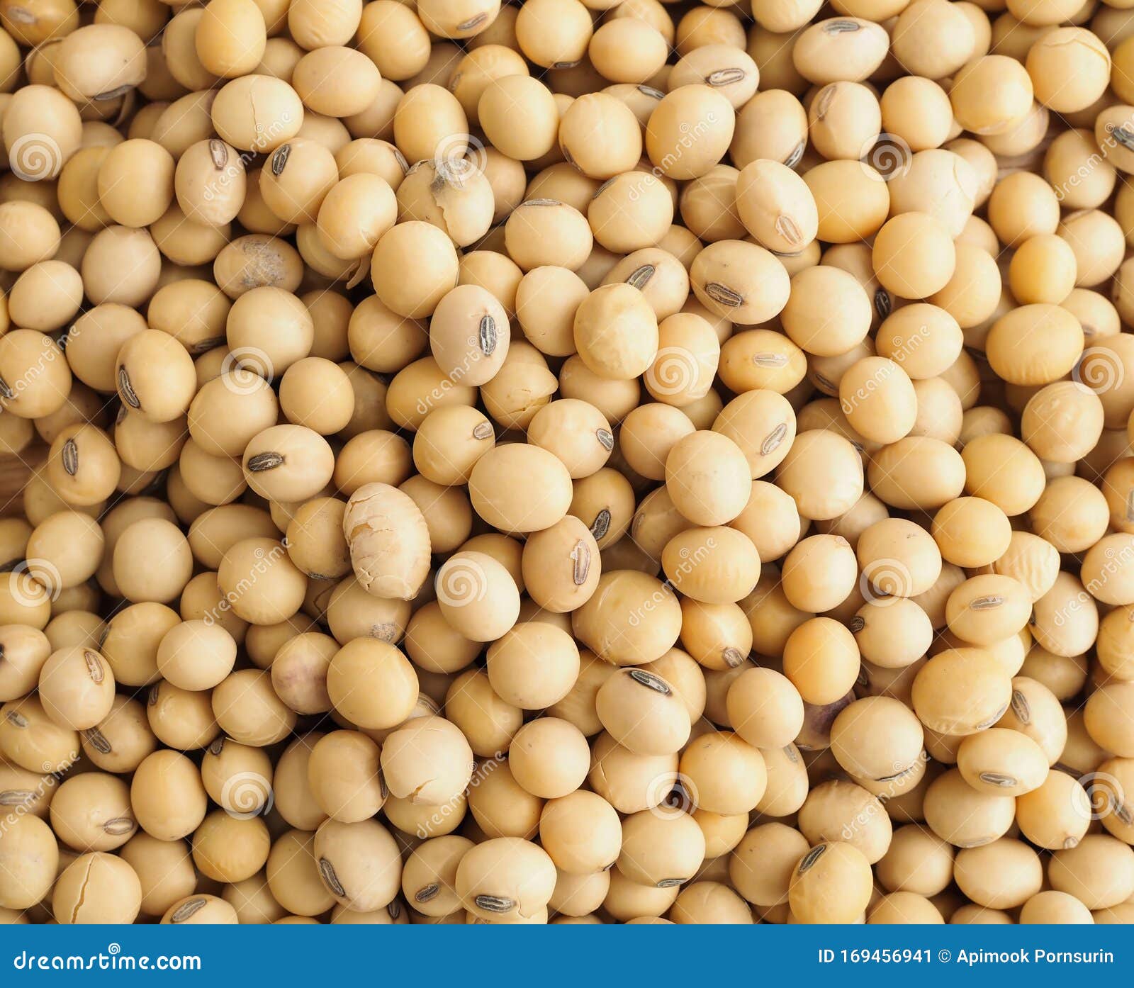 Top View of Soybean Texture Nature Background. Nature Food Stock Image ...