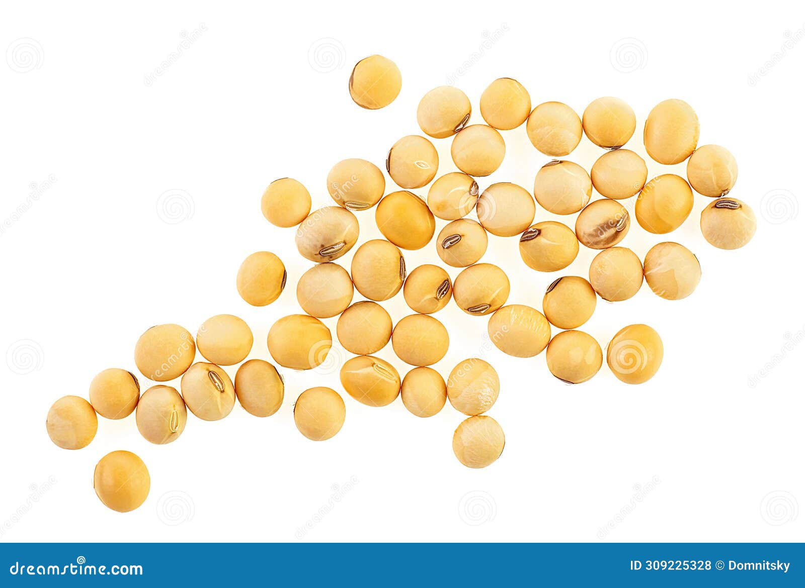 Top View of Soybeans Isolated on White Background. Glycine Max, Soya ...