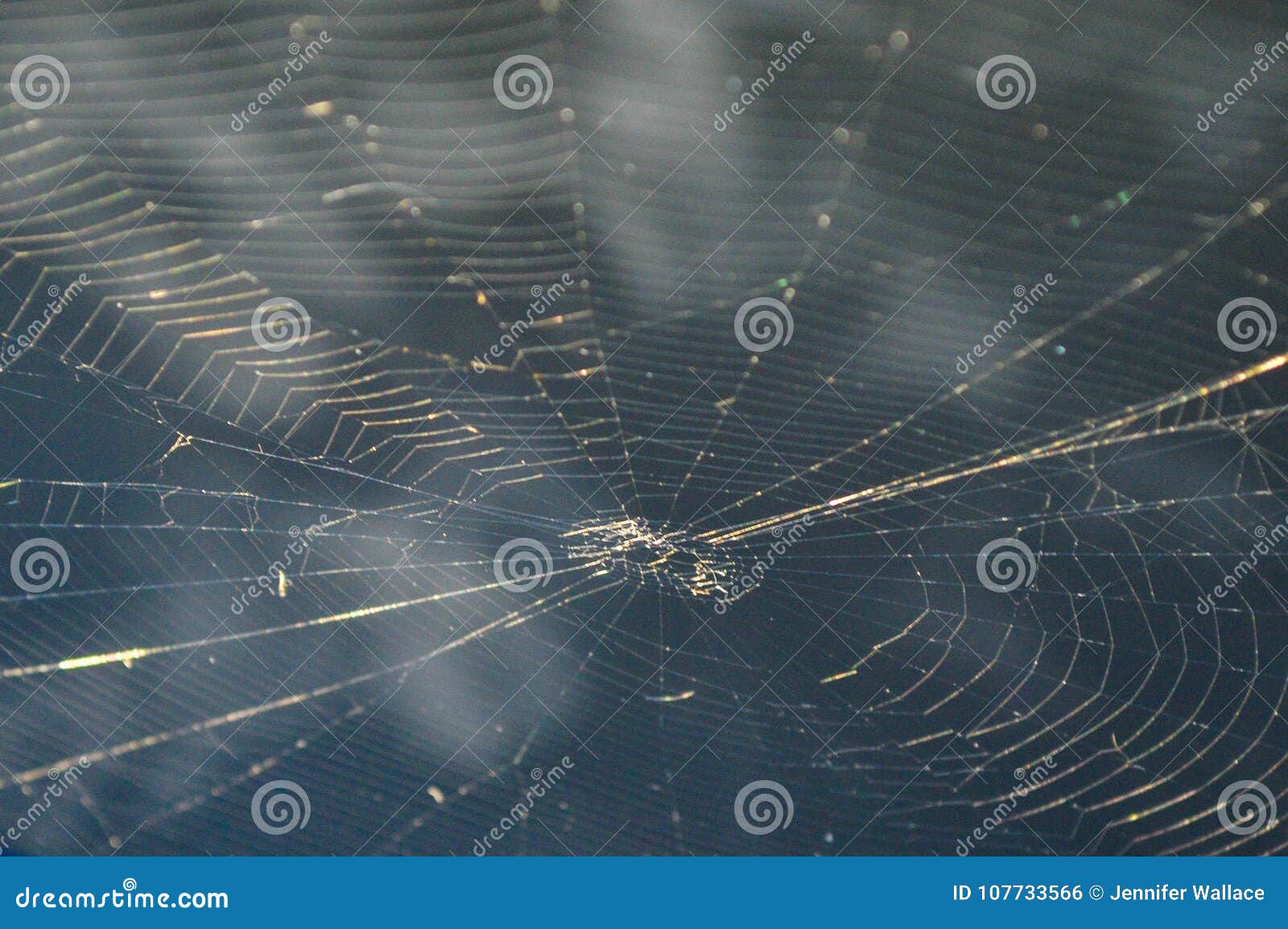 Top View of a Spiderweb in Front of a Blue Morning Sky Stock Photo ...