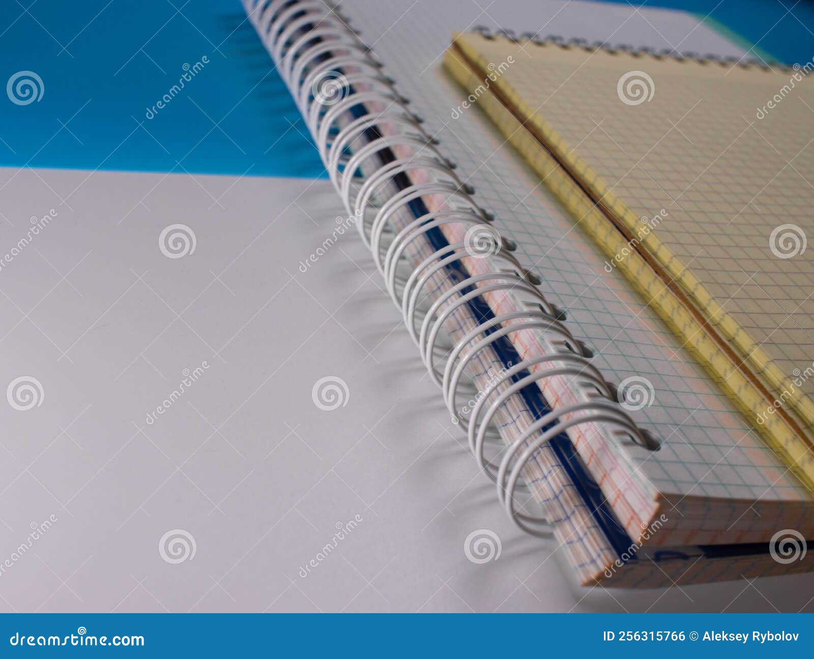 An Open Page of Two Notebooks in Close-up. Stock Photo - Image of ...