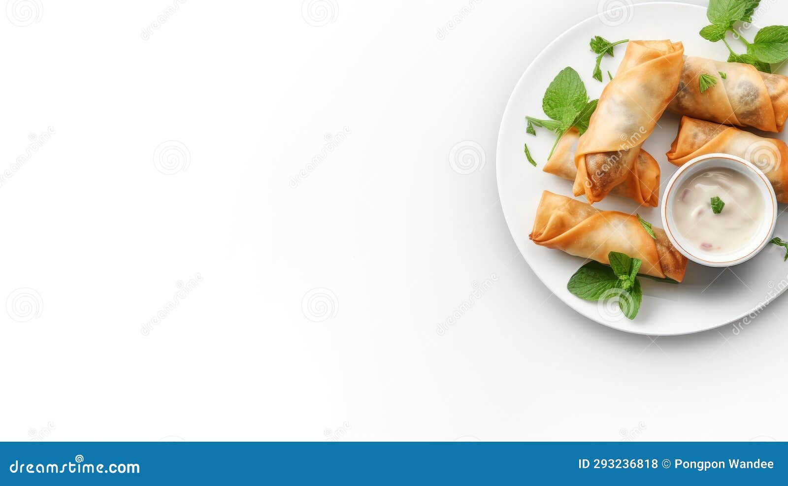 Top View of Spring Rolls, a Plate of Vegetable Spring Rolls ...