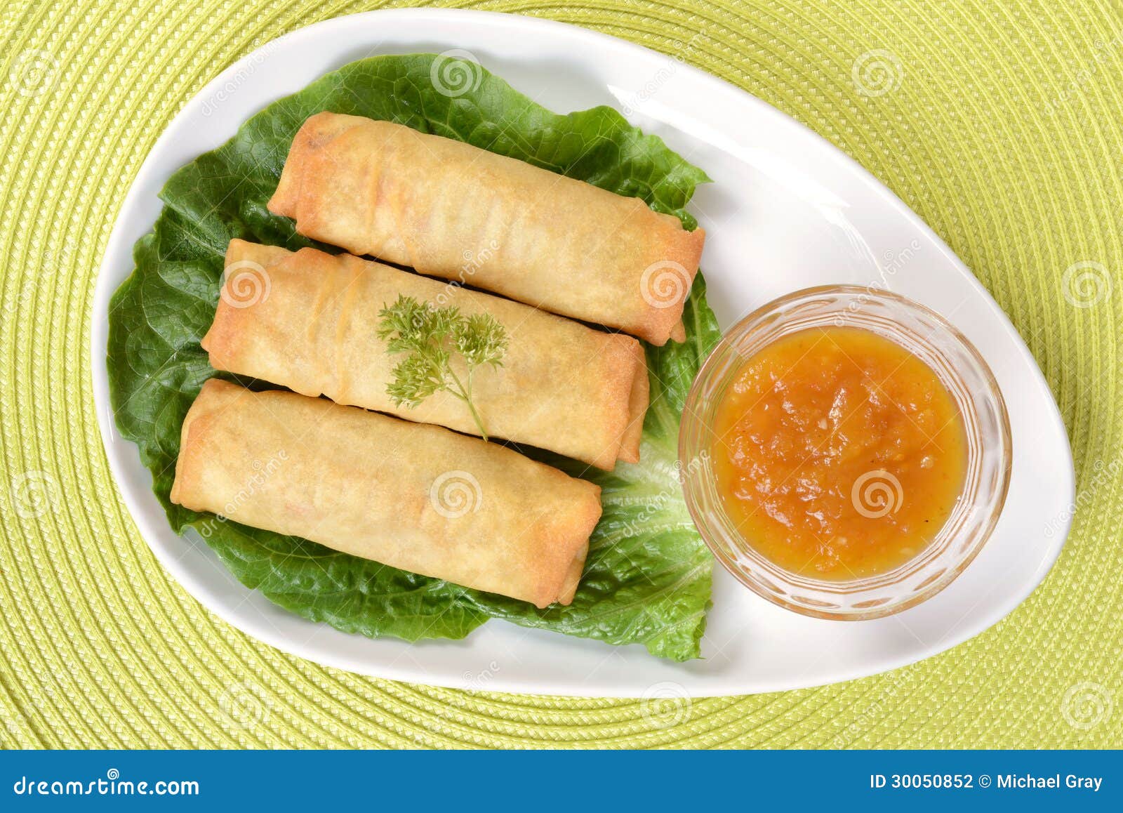 Top view of spring rolls stock photo. Image of side, springroll - 30050852