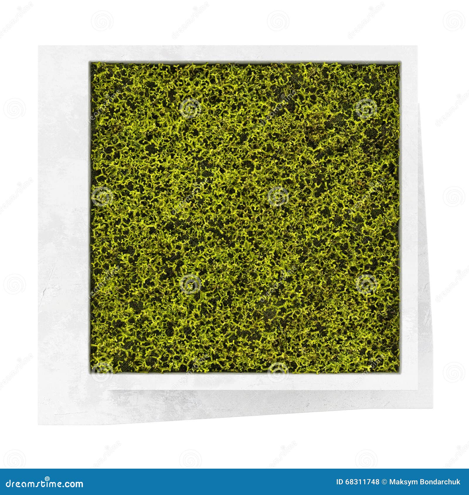 Top View of Square Moss Pot Isolated on White Stock Illustration ...