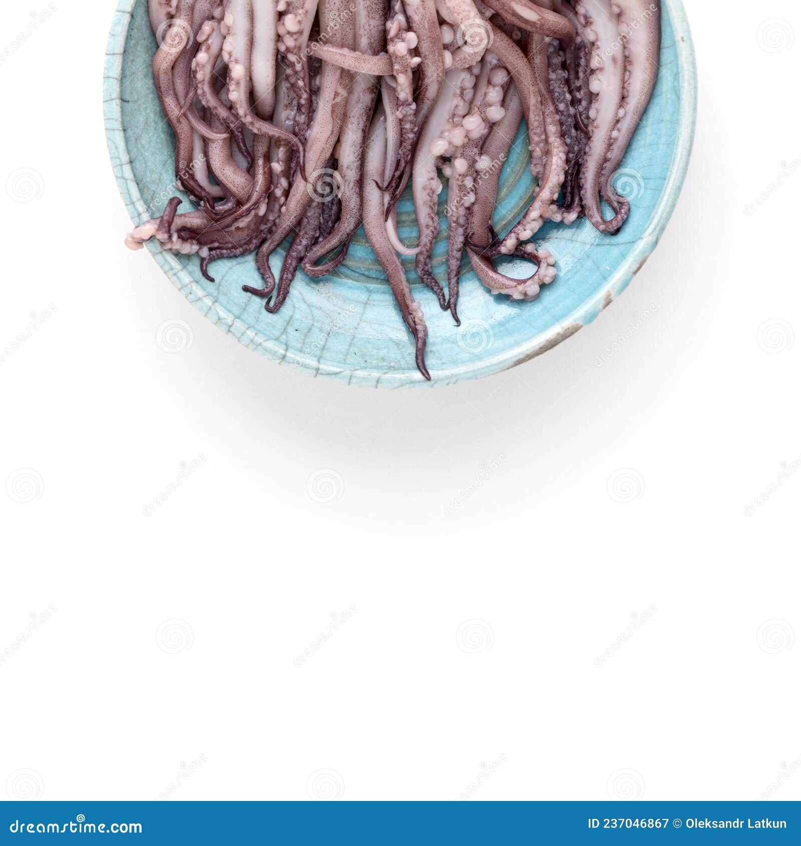 Top View Squid Plate. High Quality Photo Stock Image - Image of ...