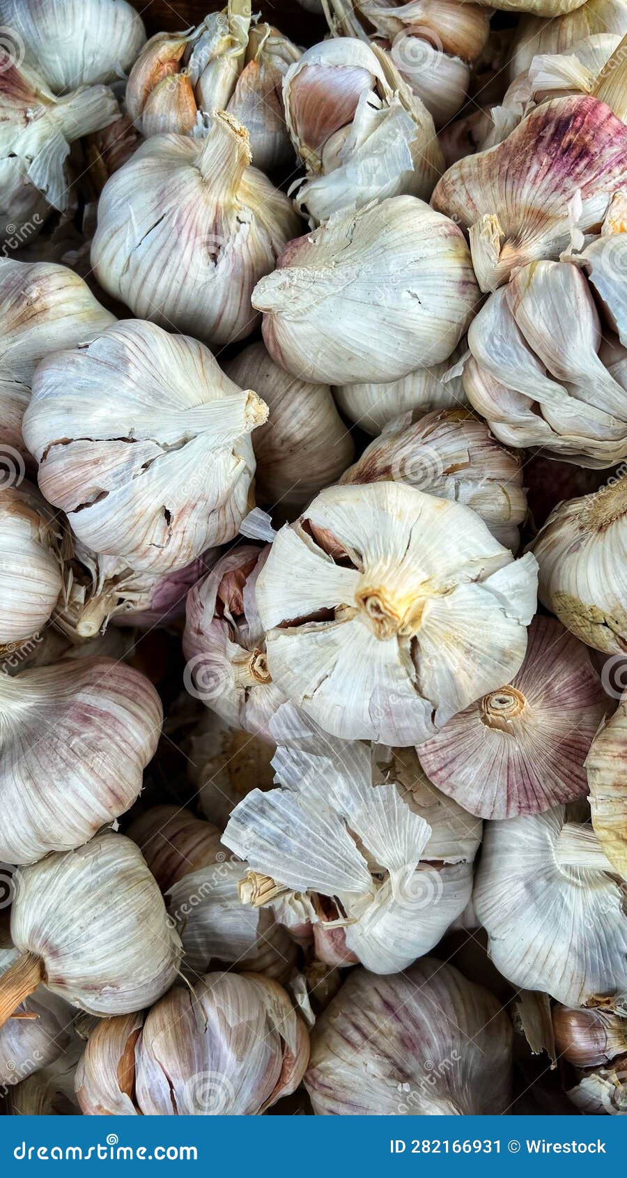 Top View of a Stack of Fresh Garlic Stock Image - Image of bulbous ...