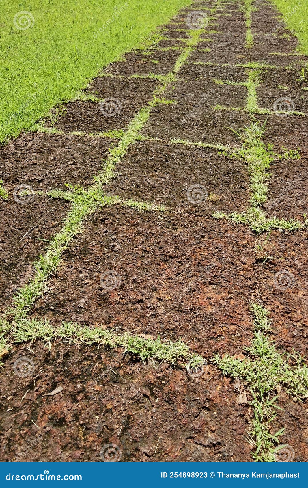 Top View of Stone Footpath Pattern Stock Image - Image of design, grass ...
