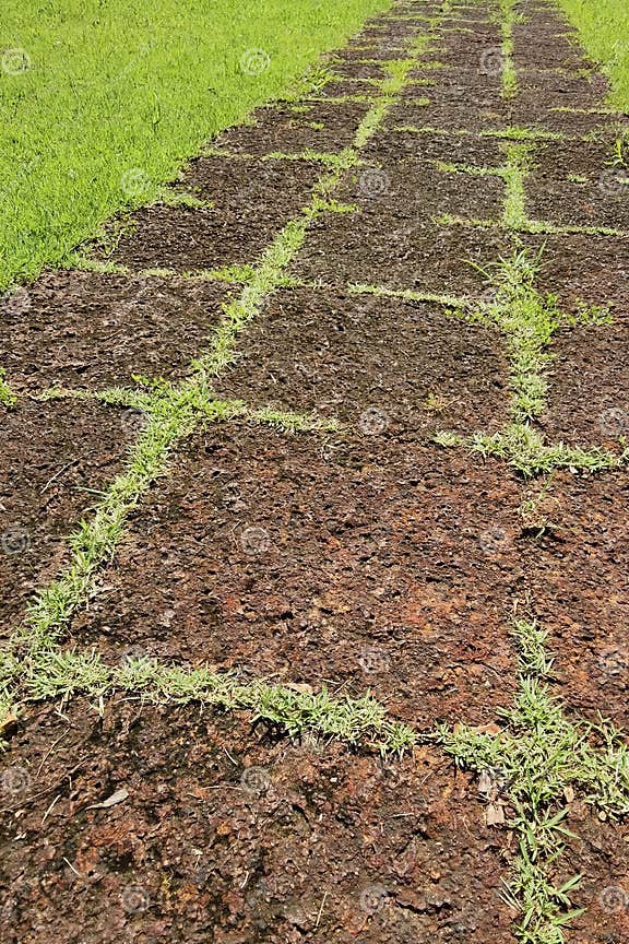 Top View of Stone Footpath Pattern Stock Image - Image of design, grass ...