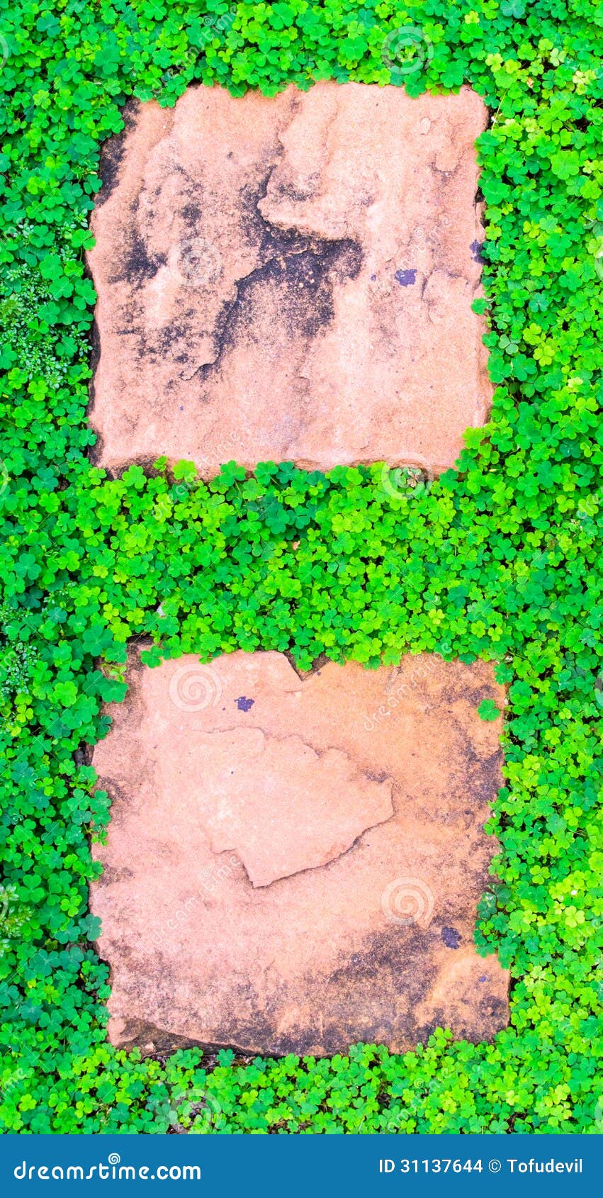 Top View of Stone Pathway. stock photo. Image of architecture - 31137644