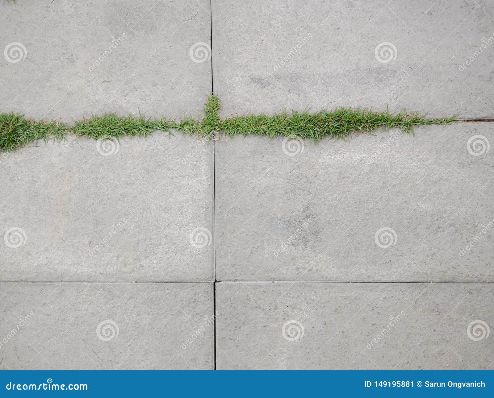 Top View of Stone Sheet and Tiny Grass in the Garden Stock Image ...