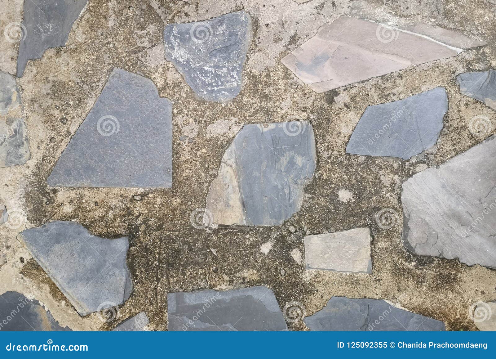 Top View Stone Walkway in the Park, Empty with Copy Space for Text ...