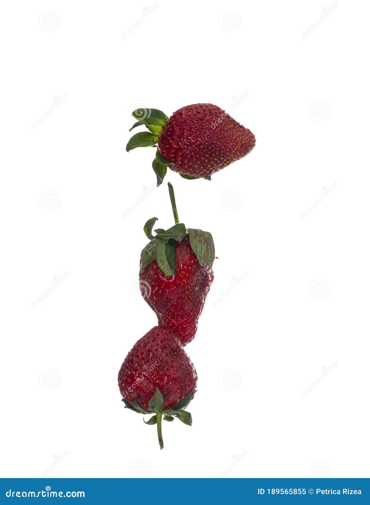 Top View of Strawberry. Beautiful Strawberry Go Down Close Up Stock ...