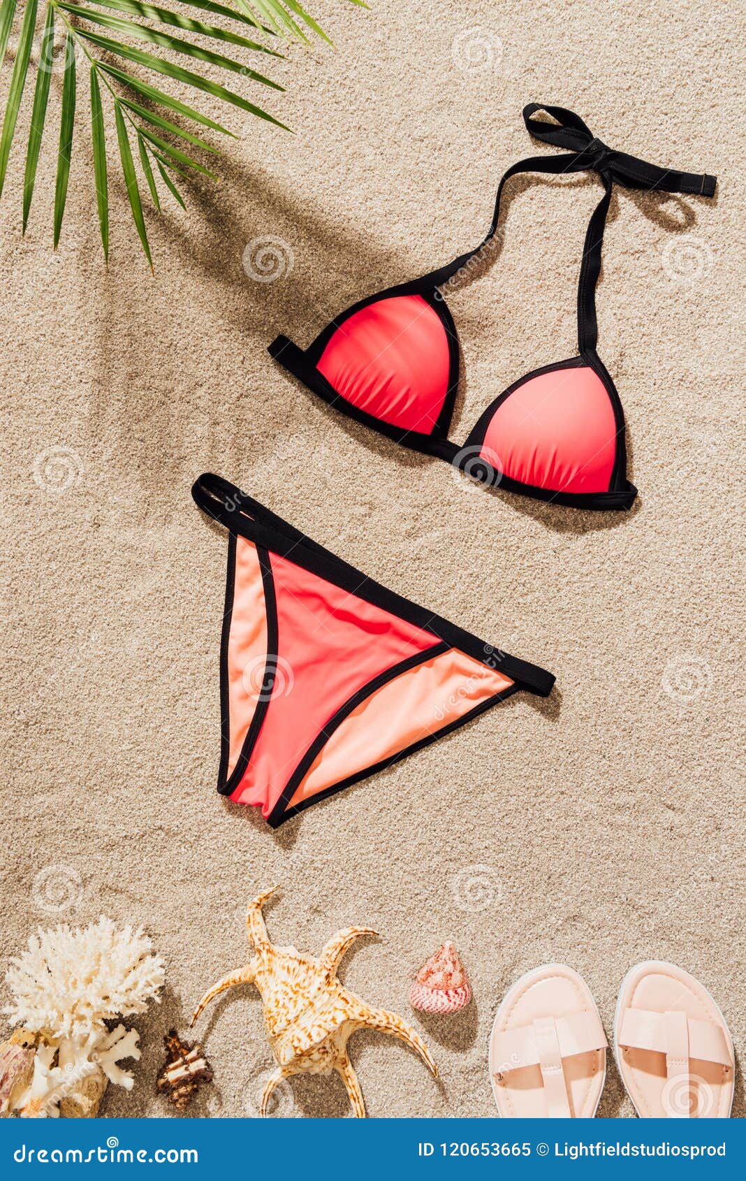 Top View of Stylish Bikini Lying Stock Image - Image of coral, copy ...