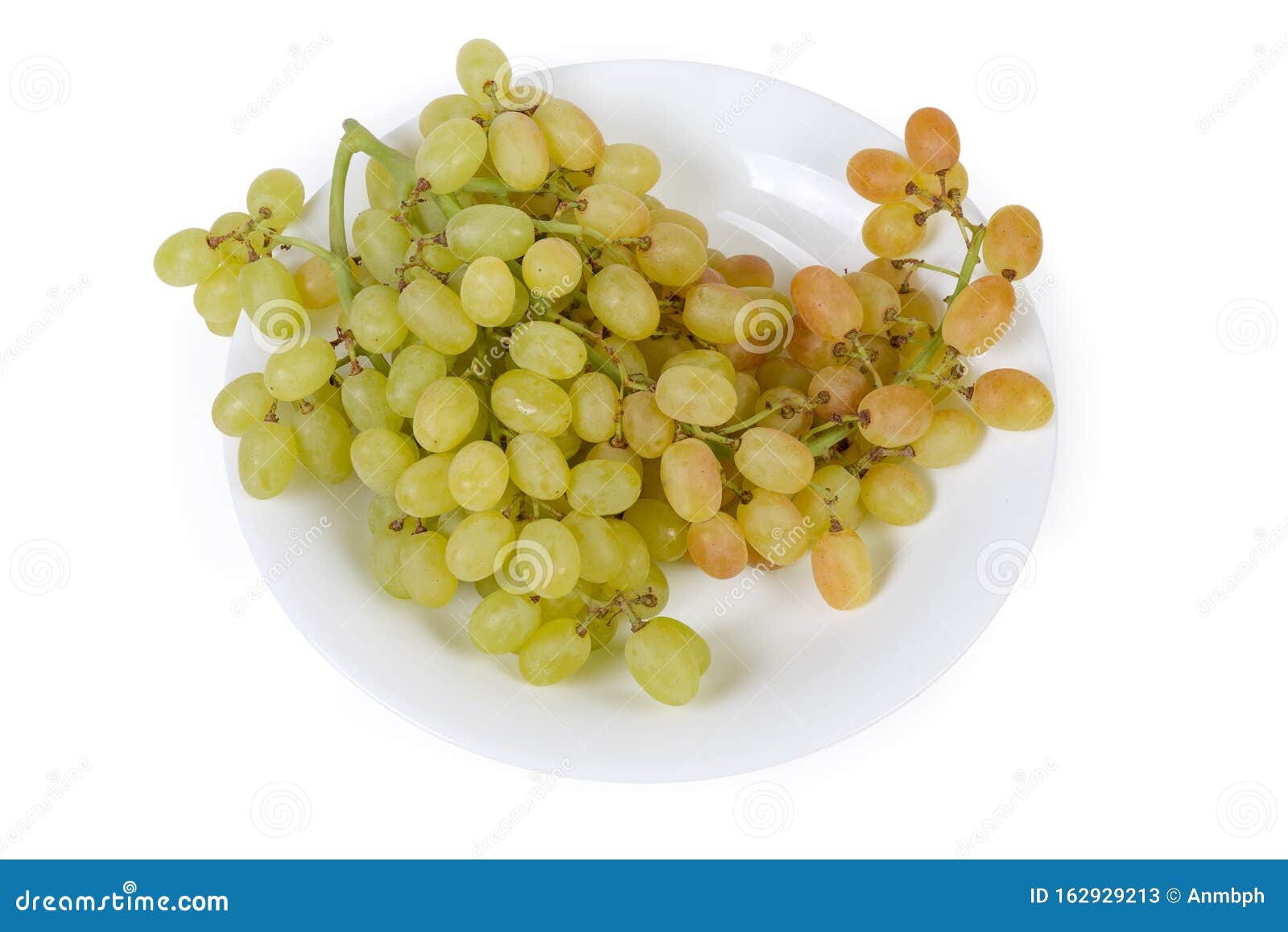 Red Sultana Grape Royalty-Free Stock Image | CartoonDealer.com #19180516