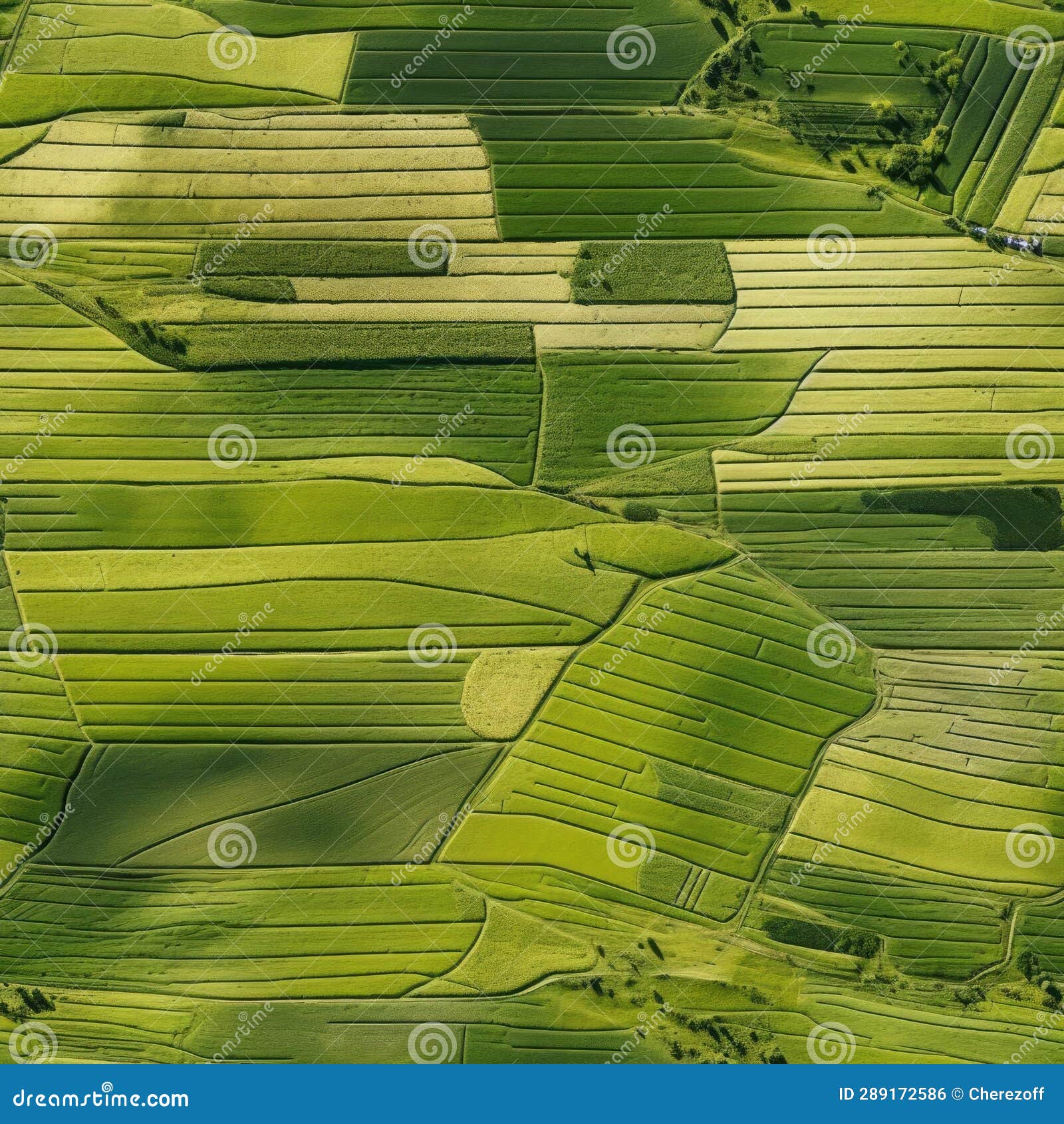 Top View of Summer Farmers Fields Stock Illustration - Illustration of ...