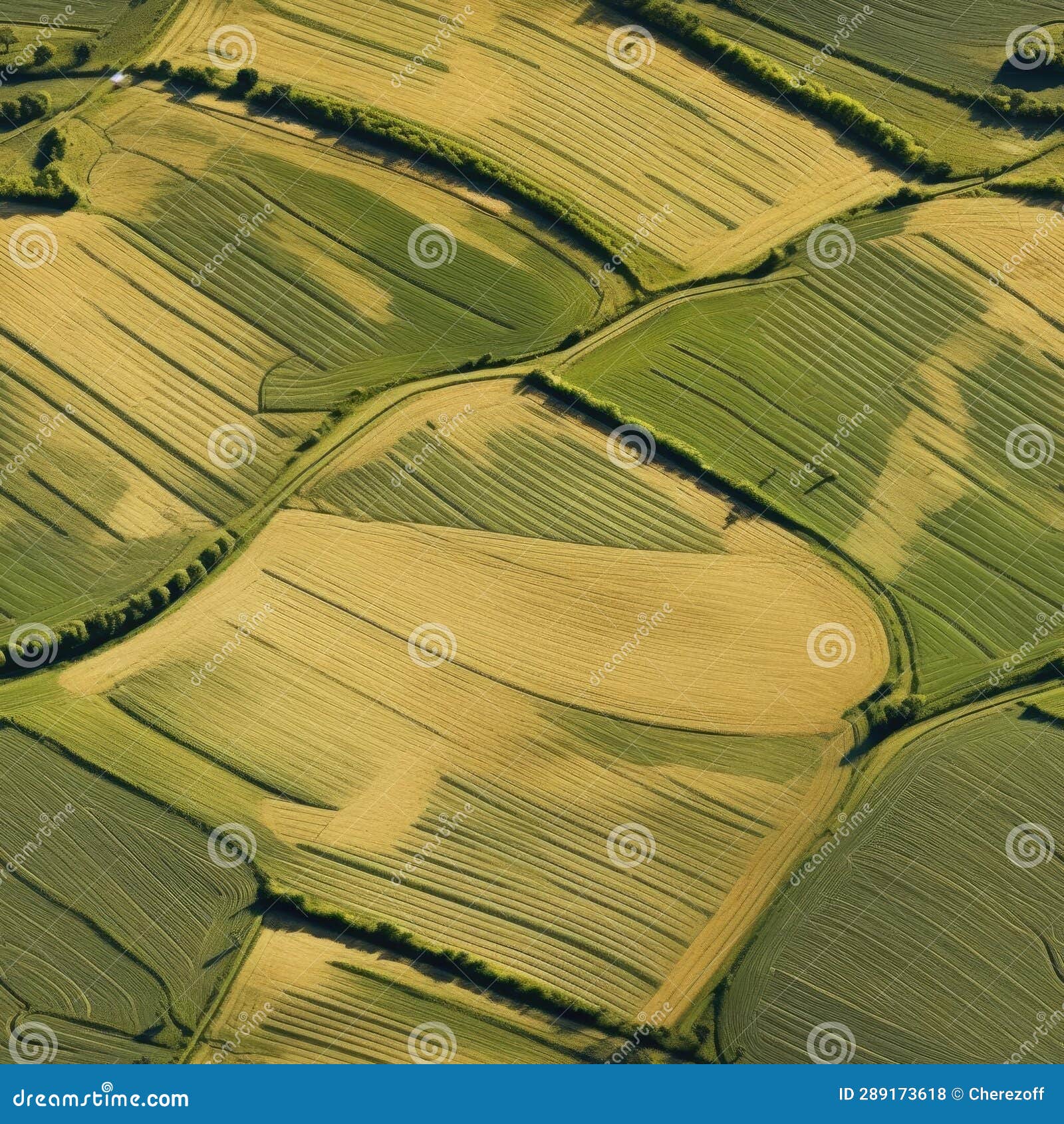 Top View of Summer Farmers Fields Stock Photo - Image of cultivated ...